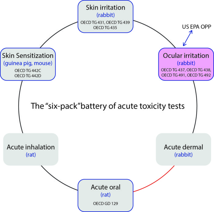 Non Animal Testing, Alternative Test Methods, In Vitro Toxicology, IIVS ...
